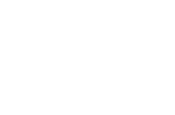 Wood Bully - Design Build Company | Toronto Canada